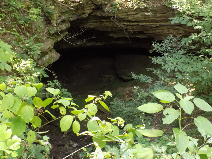 When geology led to tragedy: The Death of Floyd Collins | The Altamont ...