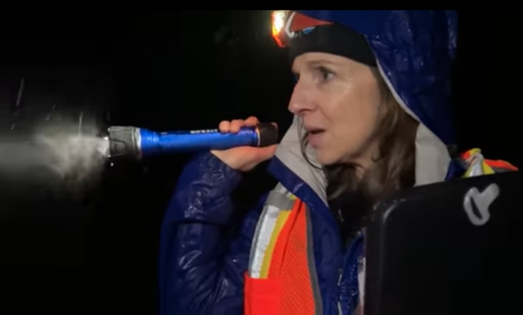 Amphibians migrate early and sporadically this year to mate in vernal ...