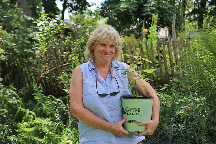 Laura Barry Plants Hope Along With Native Trees The Altamont Enterprise